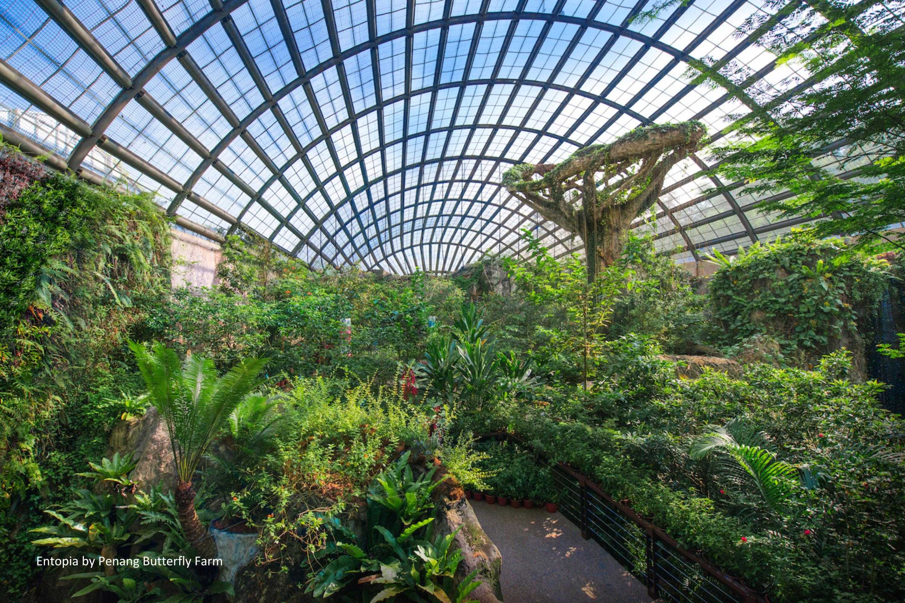 Entopia by Penang Butterfly Farm Ticket & Price