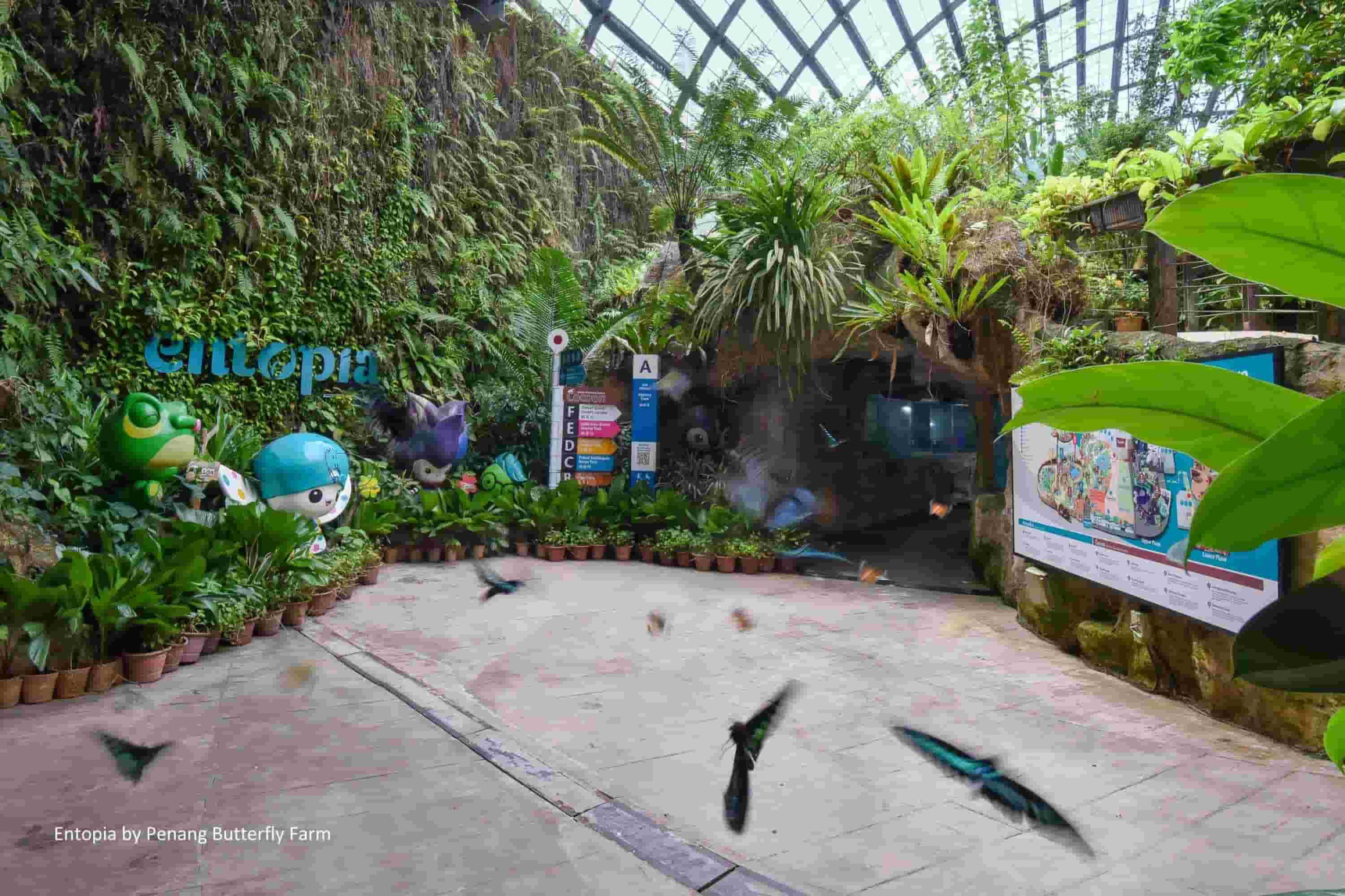 Entopia by Penang Butterfly Farm Tickets 2025