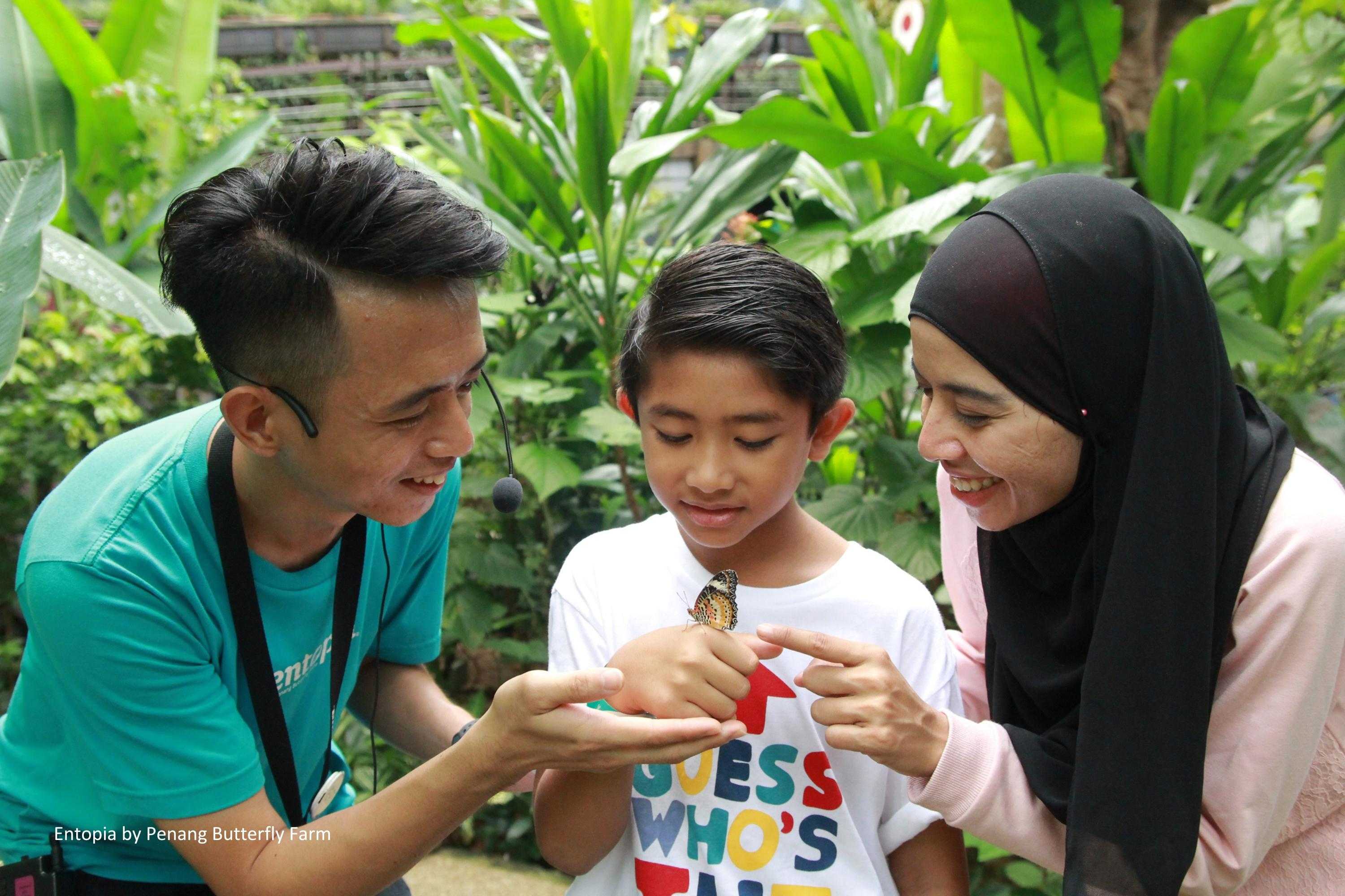 Entopia by Penang Butterfly Farm Ticket & Price