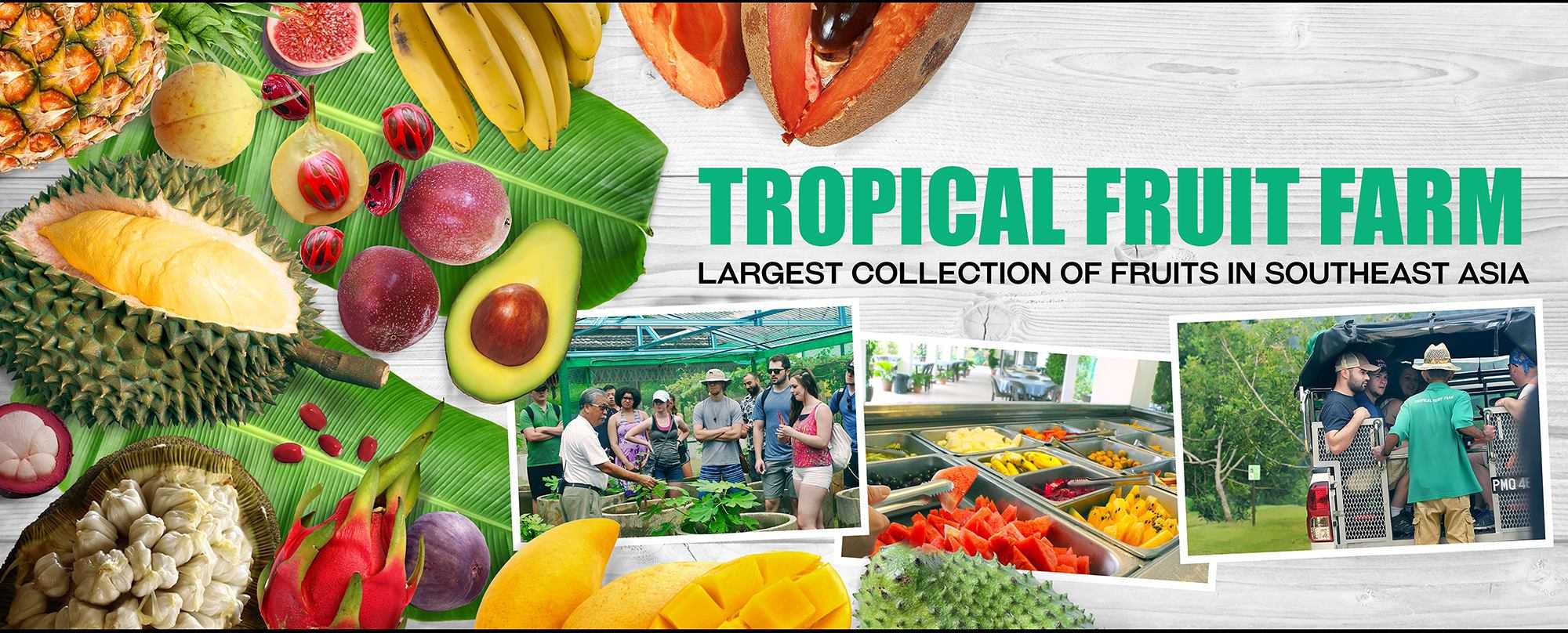 Tropical Fruit Farm Penang Ticket Online
